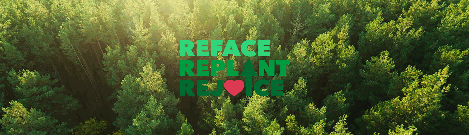 Reface, Replant, Rejoice. | Kitchen Magic