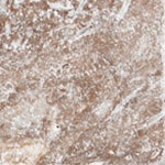 Luxurious Marble Backsplash Near Me | Kitchen Magic